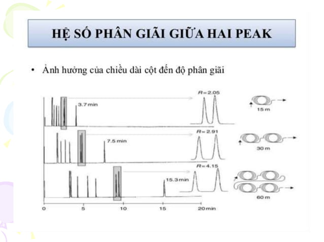 [123doc] - bai-giang-sac-ky-long-hieu-nang-cao-hplc.ppt