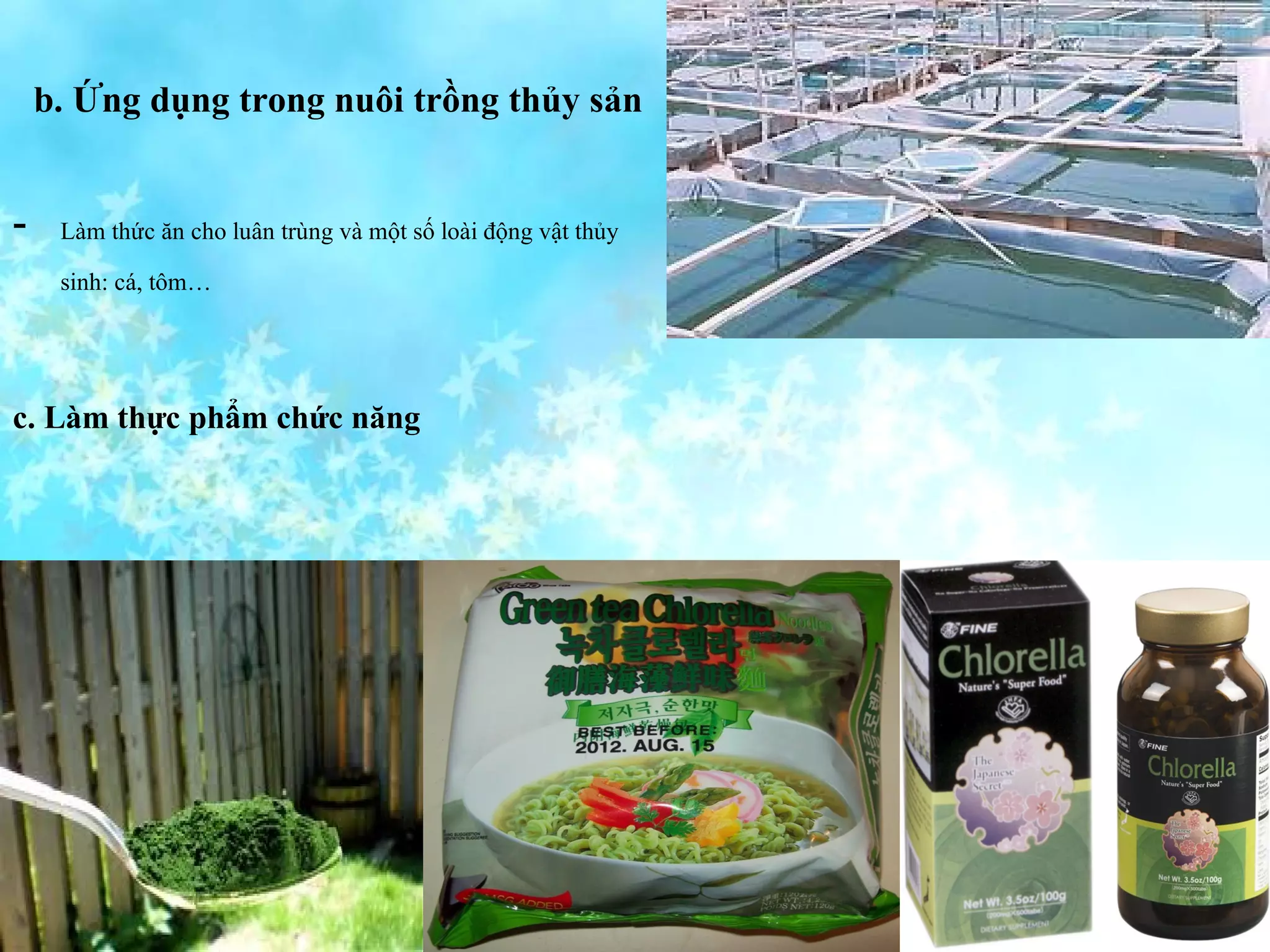 [123doc] - tim-hieu-vi-tao-chlorella.pdf