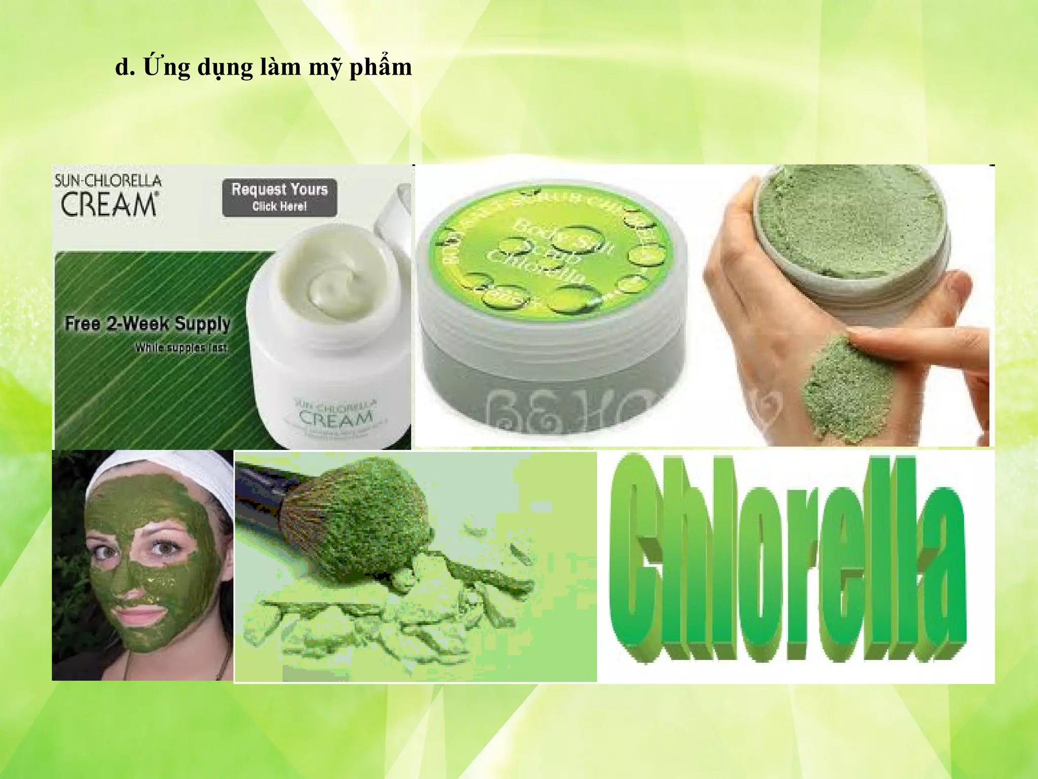 [123doc] - tim-hieu-vi-tao-chlorella.pdf
