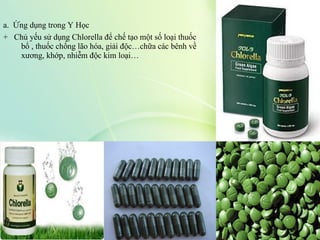 [123doc] - tim-hieu-vi-tao-chlorella.pdf