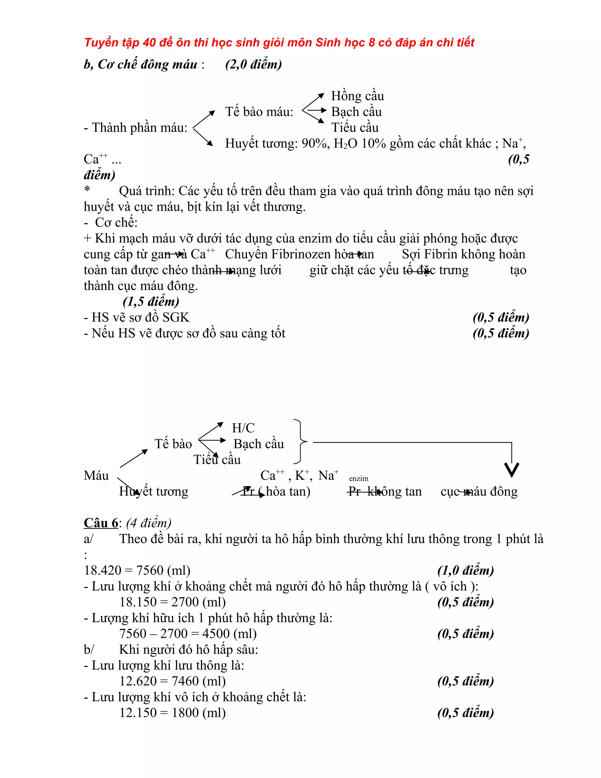 Tuyển tập 40 đề thi HSG Sinh học 8 kèm đáp án chi tiết | DOC