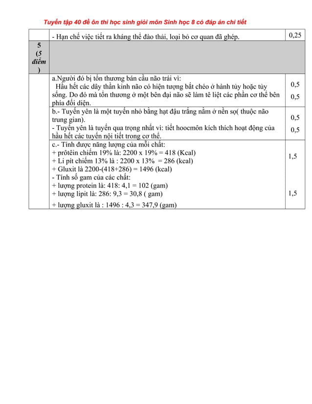 Tuyển tập 40 đề thi HSG Sinh học 8 kèm đáp án chi tiết | DOC