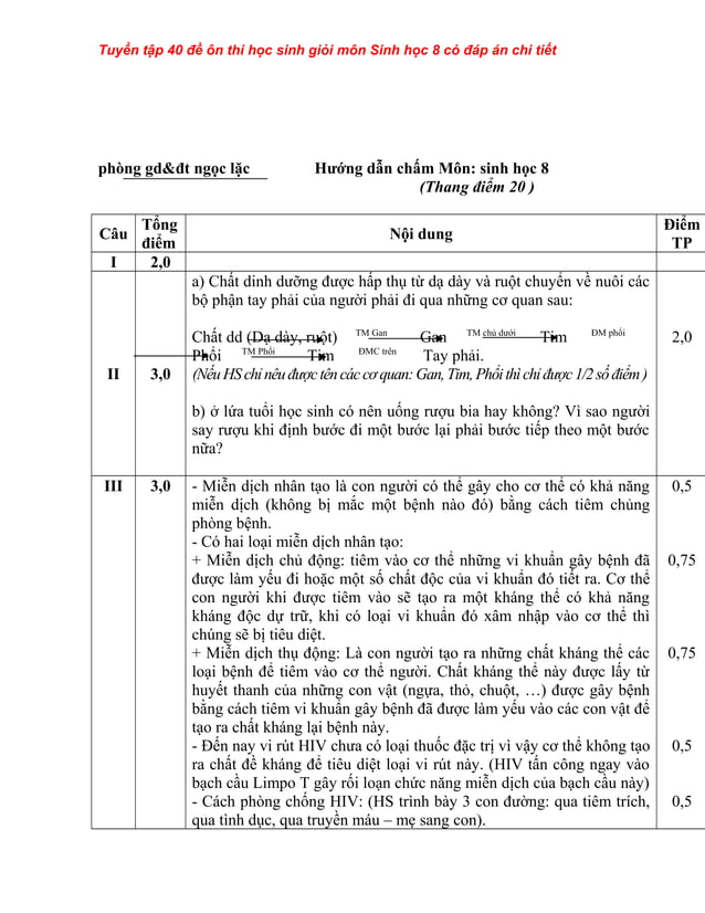 Tuyển tập 40 đề thi HSG Sinh học 8 kèm đáp án chi tiết | DOC