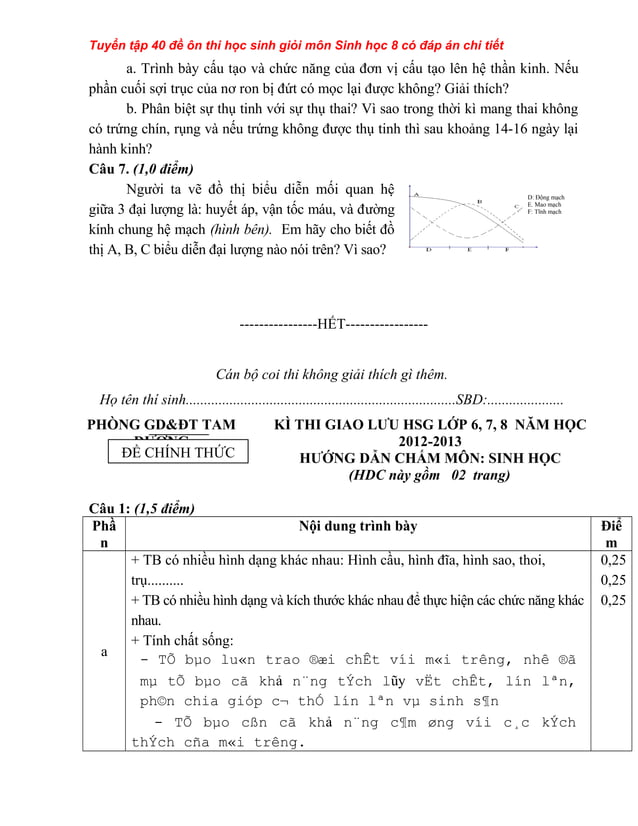 Tuyển tập 40 đề thi HSG Sinh học 8 kèm đáp án chi tiết | DOC