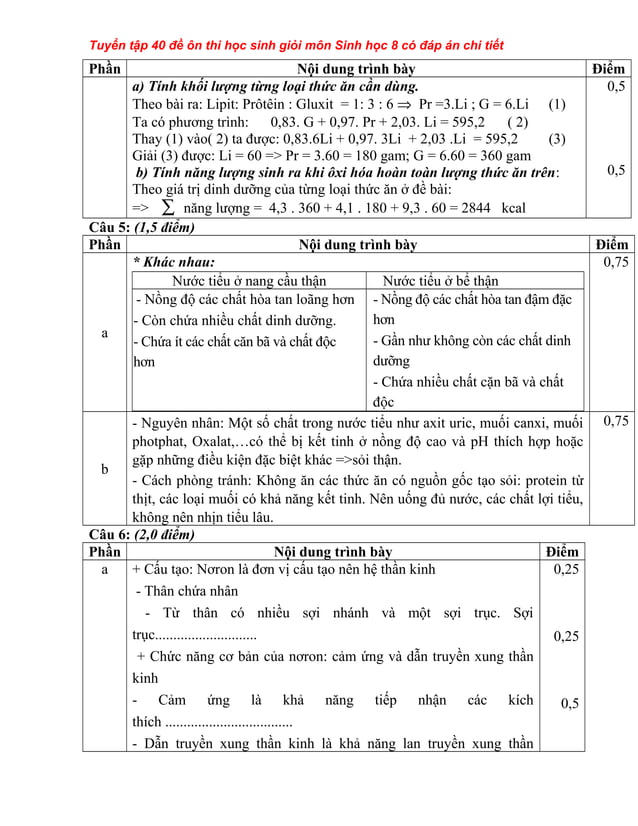 Tuyển tập 40 đề thi HSG Sinh học 8 kèm đáp án chi tiết | DOC