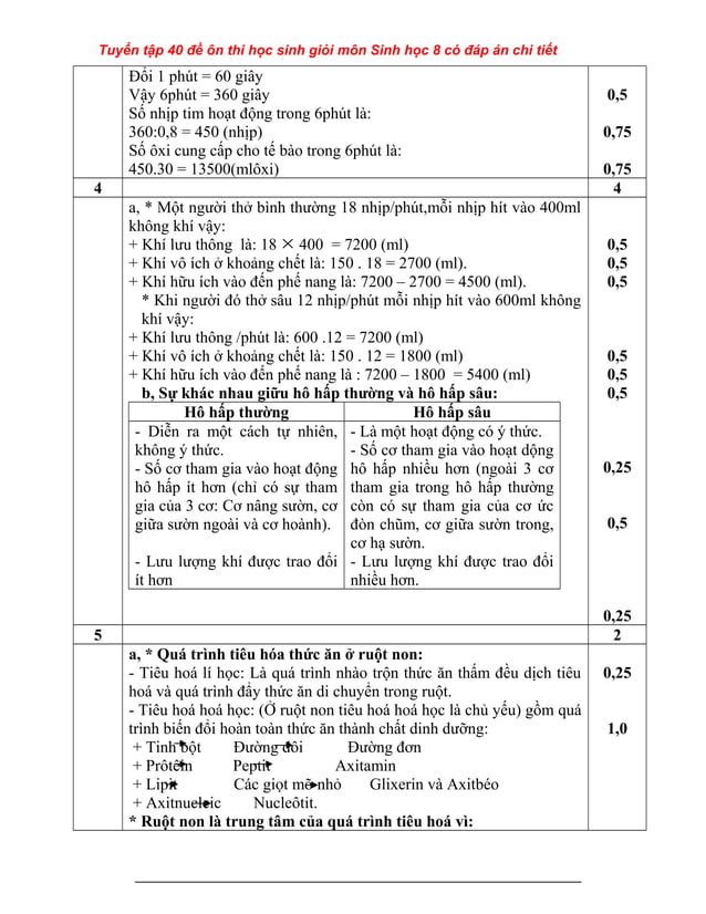 Tuyển tập 40 đề thi HSG Sinh học 8 kèm đáp án chi tiết | DOC