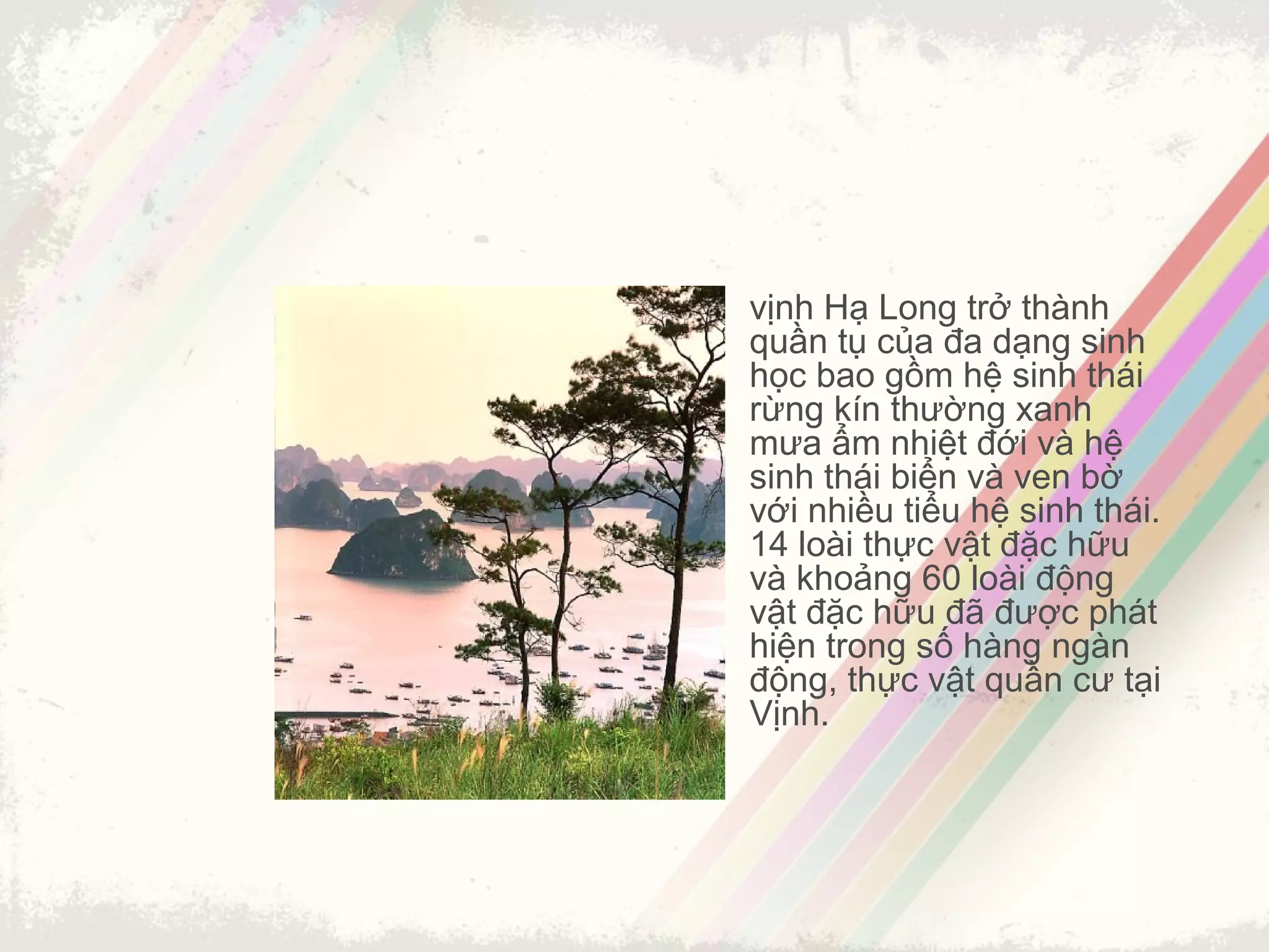 Powerpoint Vịnh Hạ Long | PPT