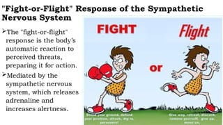 Autonomic nervous system PHARMA! - ppt.pptx