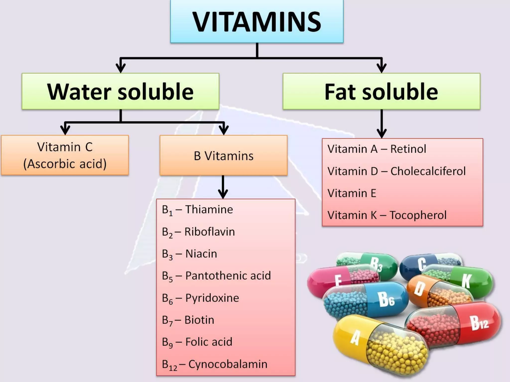 VITAMINS (Classification, sources, Functions, Requirement and Deficiency conditions) | PDF