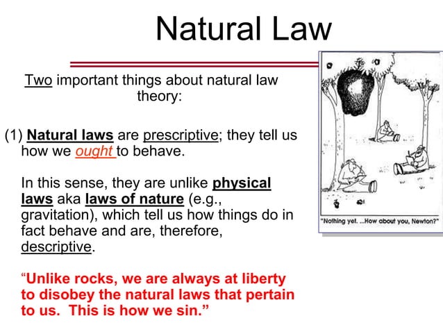12_402_S2012 Natural Law.ppt