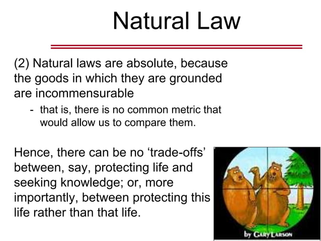 12_402_S2012 Natural Law.ppt