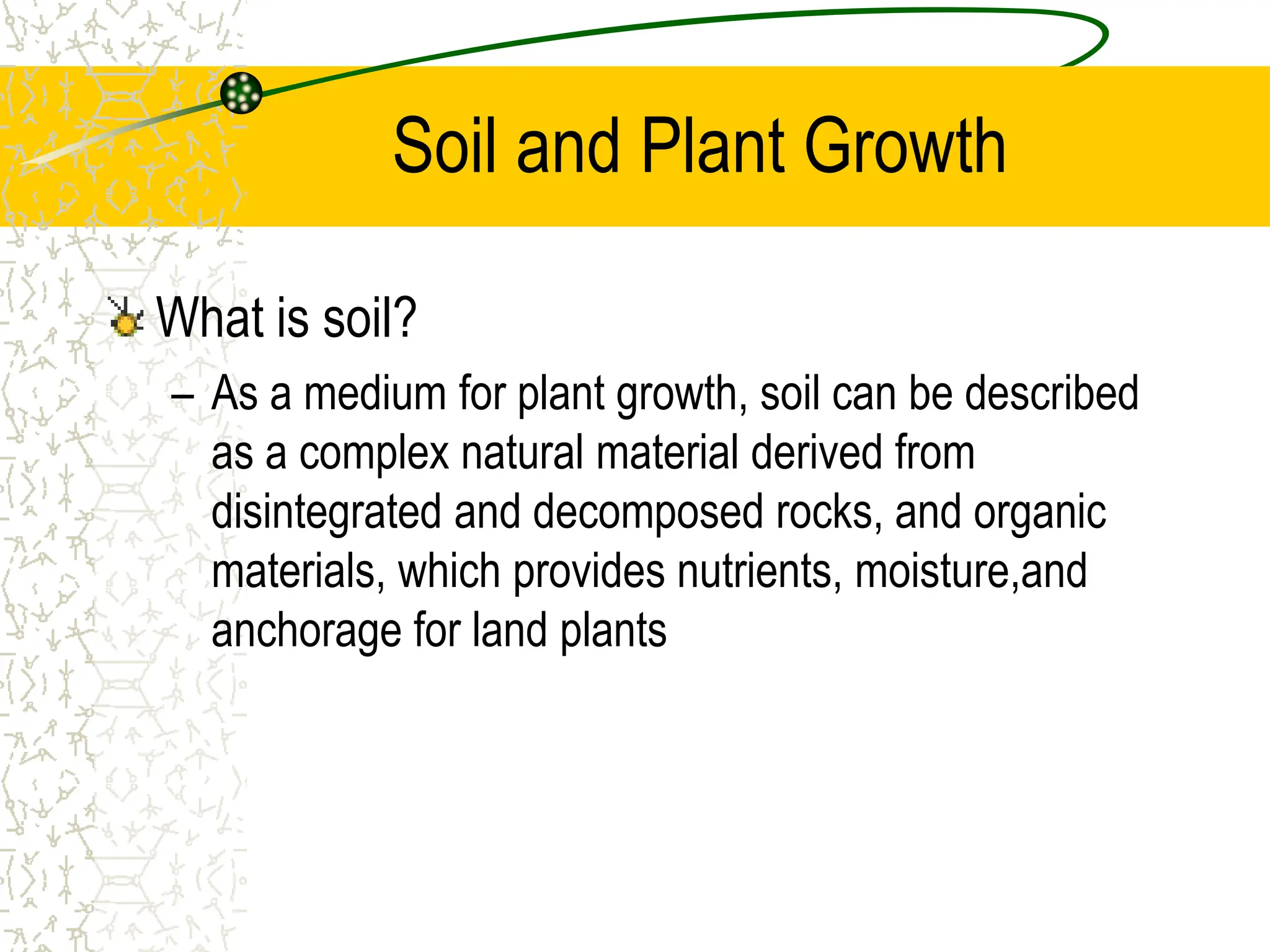 soil and plant growth 12423241.ppt
