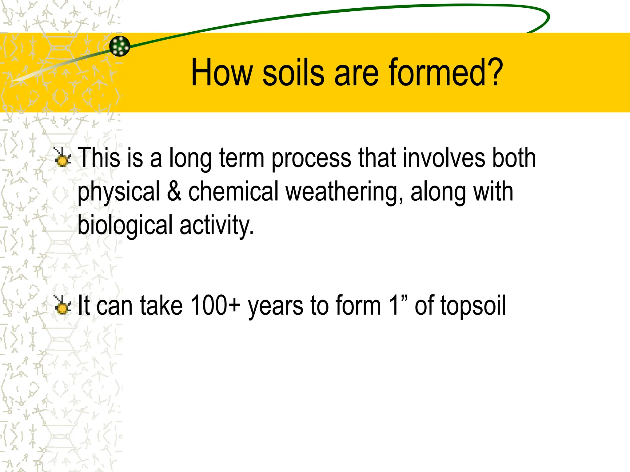 soil and plant growth 12423241.ppt