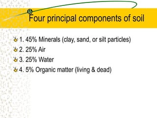 soil and plant growth 12423241.ppt