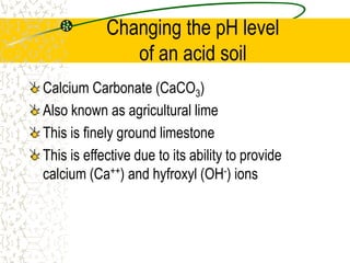 soil and plant growth 12423241.ppt