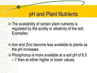 soil and plant growth 12423241.ppt