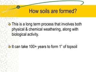 soil and plant growth 12423241.ppt