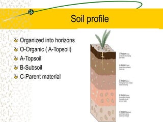 soil and plant growth 12423241.ppt