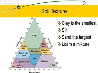 soil and plant growth 12423241.ppt