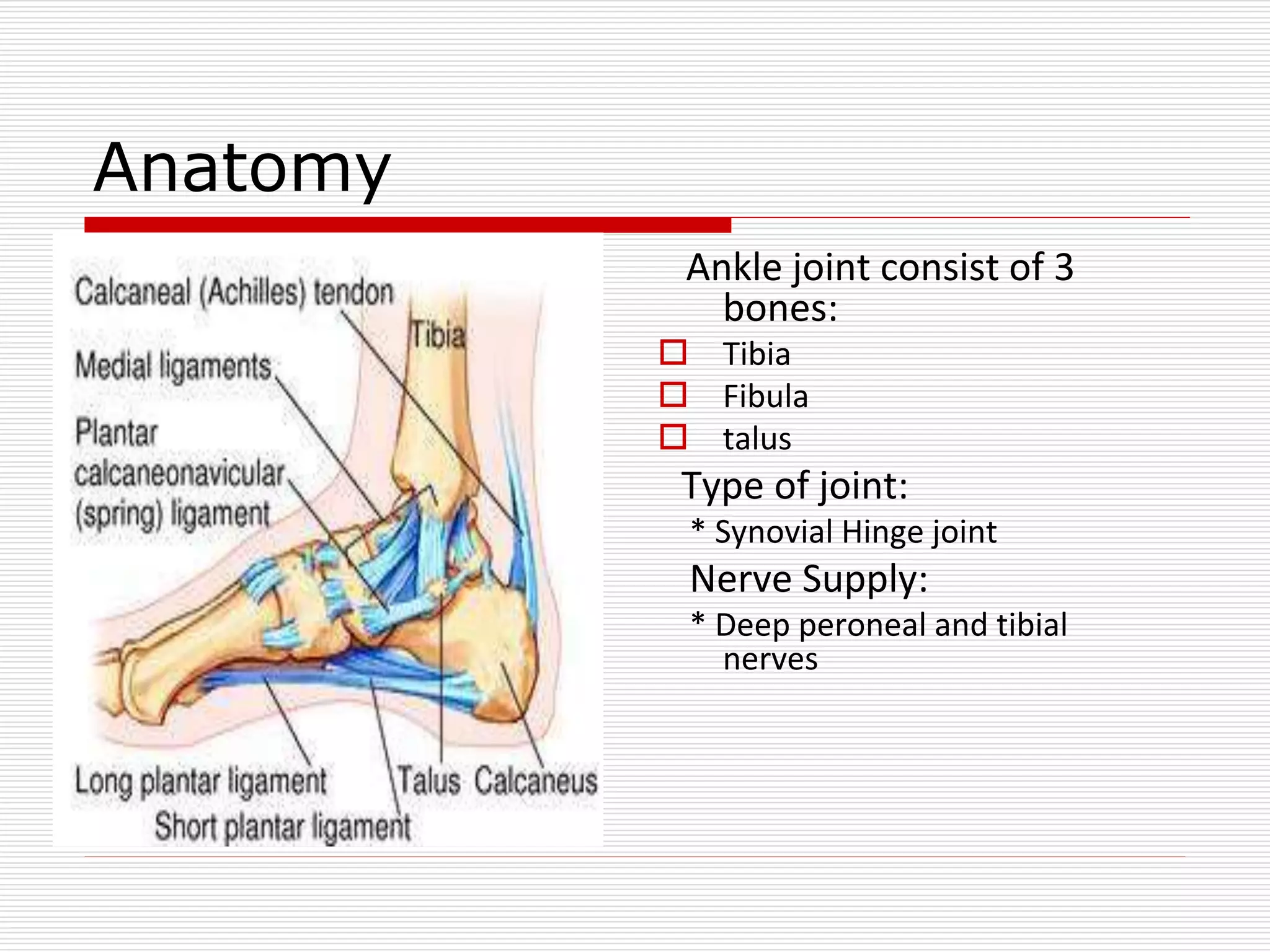 124602252-Ankle-Joint-Ppt.ppt
