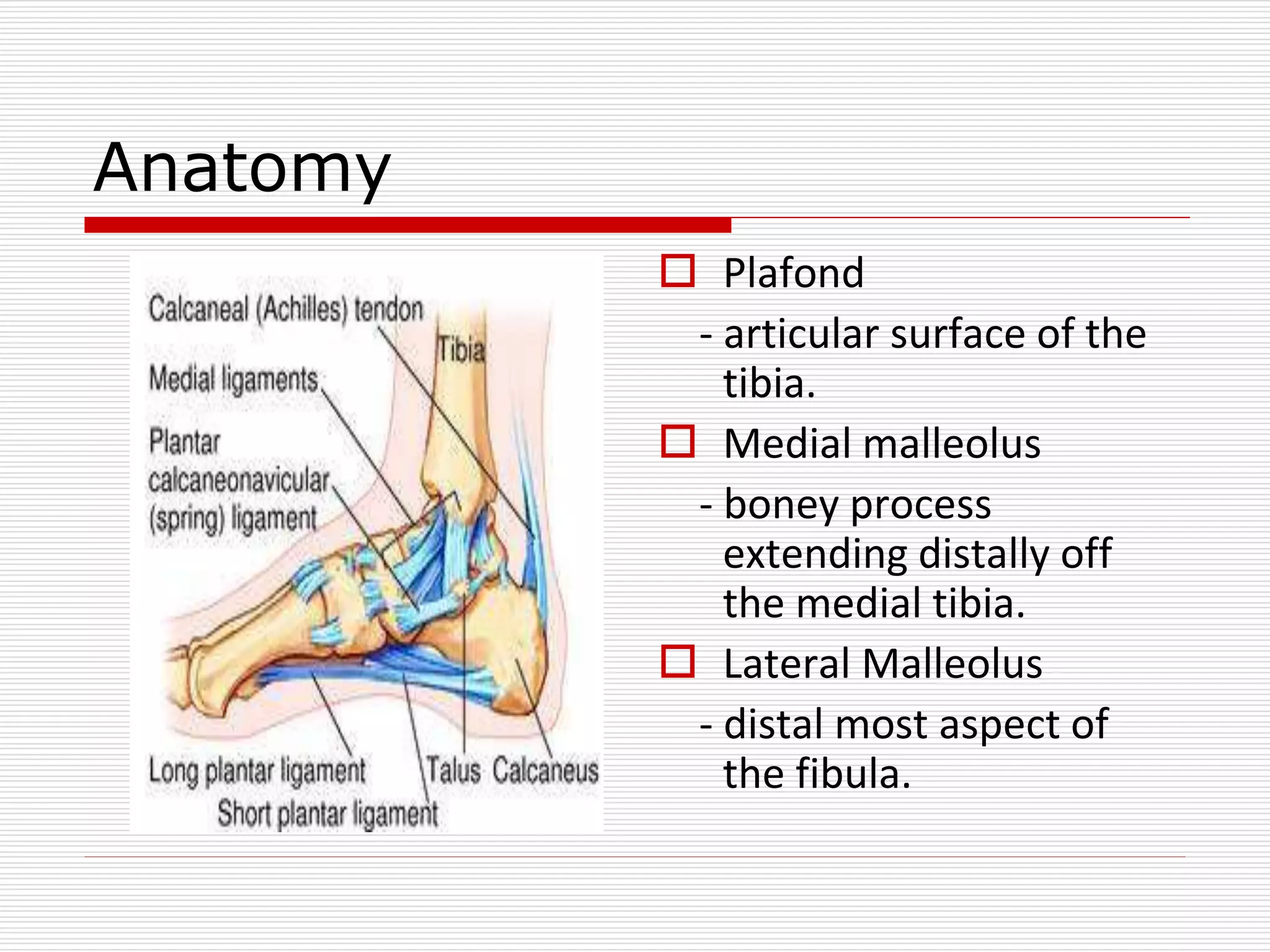 124602252-Ankle-Joint-Ppt.ppt