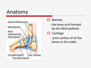 124602252-Ankle-Joint-Ppt.ppt
