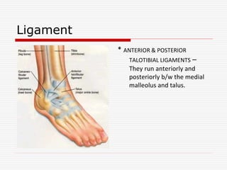 124602252-Ankle-Joint-Ppt.ppt