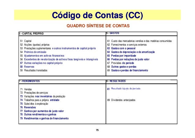 1253293281 snc implicacoes_contabilisticas