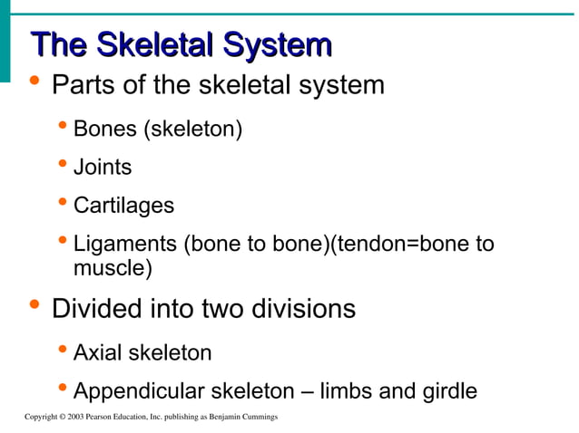 traweawgwdwd125409043-Skeletal-System.ppt