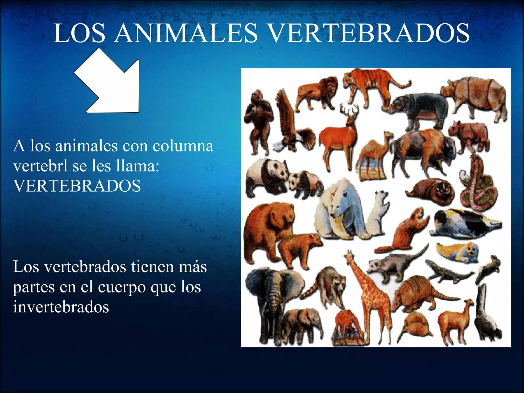 ANIMALES VERTEBRADOS | PPT