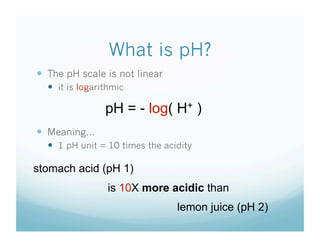 1 25 What Is P H | PDF