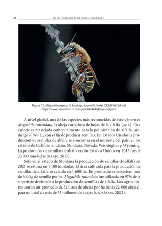 Abejas nativas mexicanas como potenciales polinizadores manejados | PDF