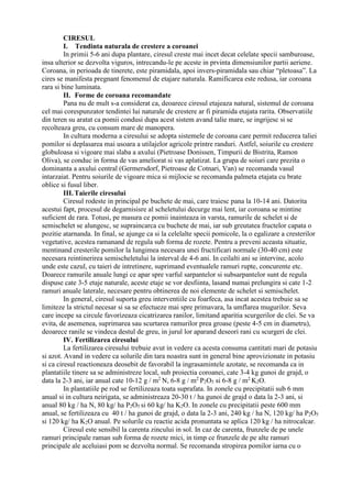 126069143-CIRESUL.pdf