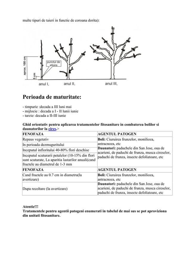 126069143-CIRESUL.pdf