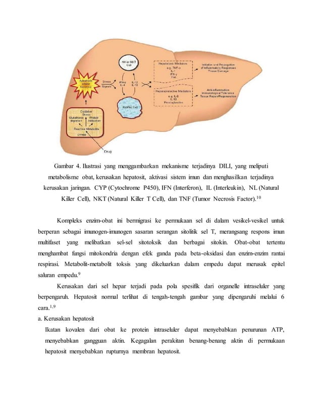 126161197 case-hepatitis-drug-induce | DOCX