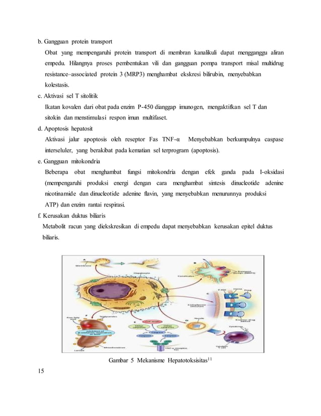 126161197 case-hepatitis-drug-induce | DOCX