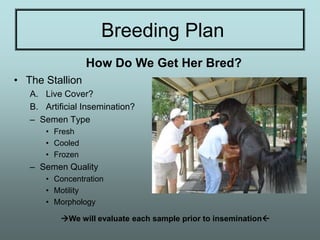 Equine Reproductive Techniques | PPTX