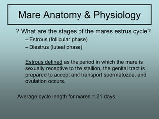 Equine Reproductive Techniques | PPTX