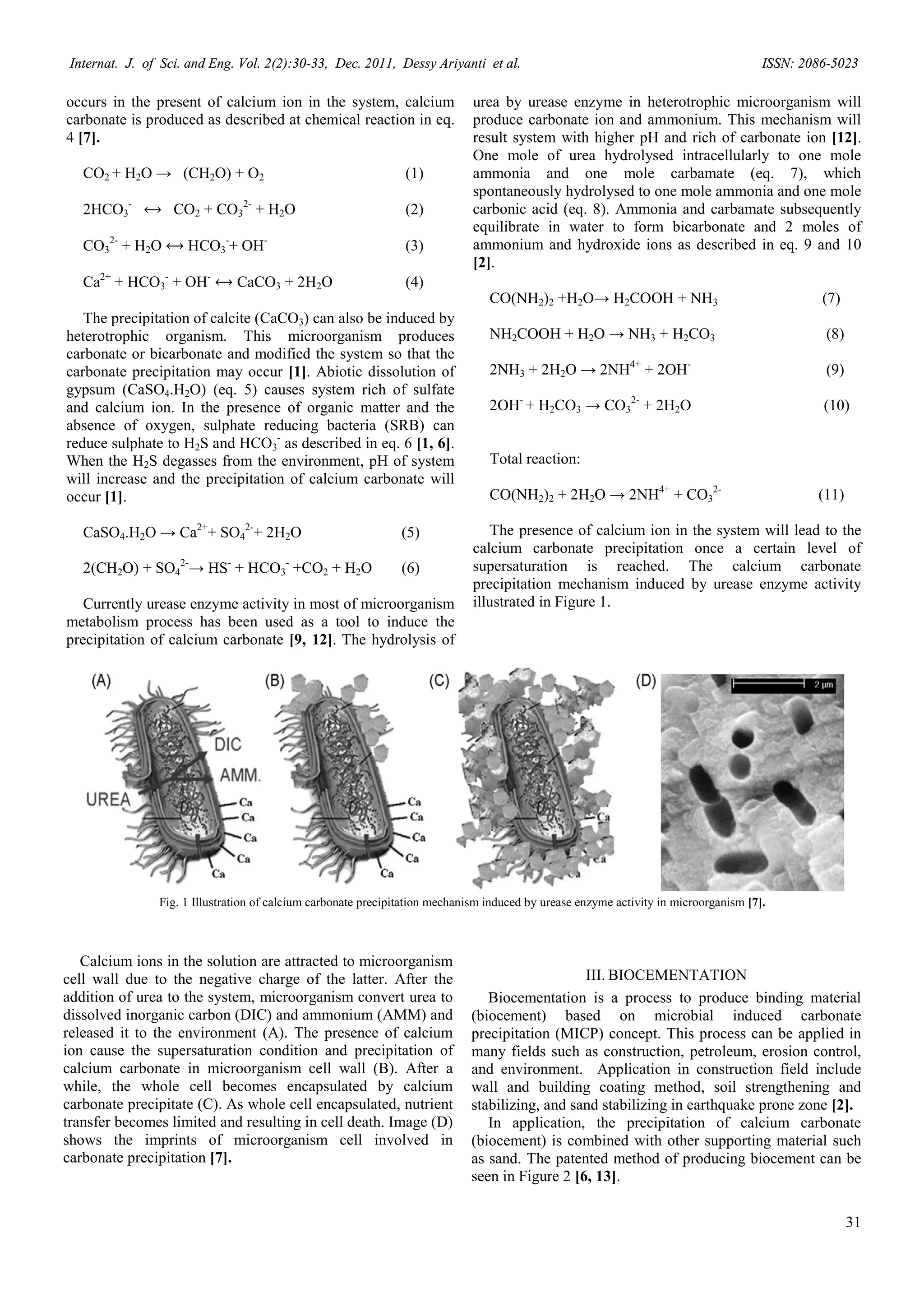 1265 2956-1-pb | PDF