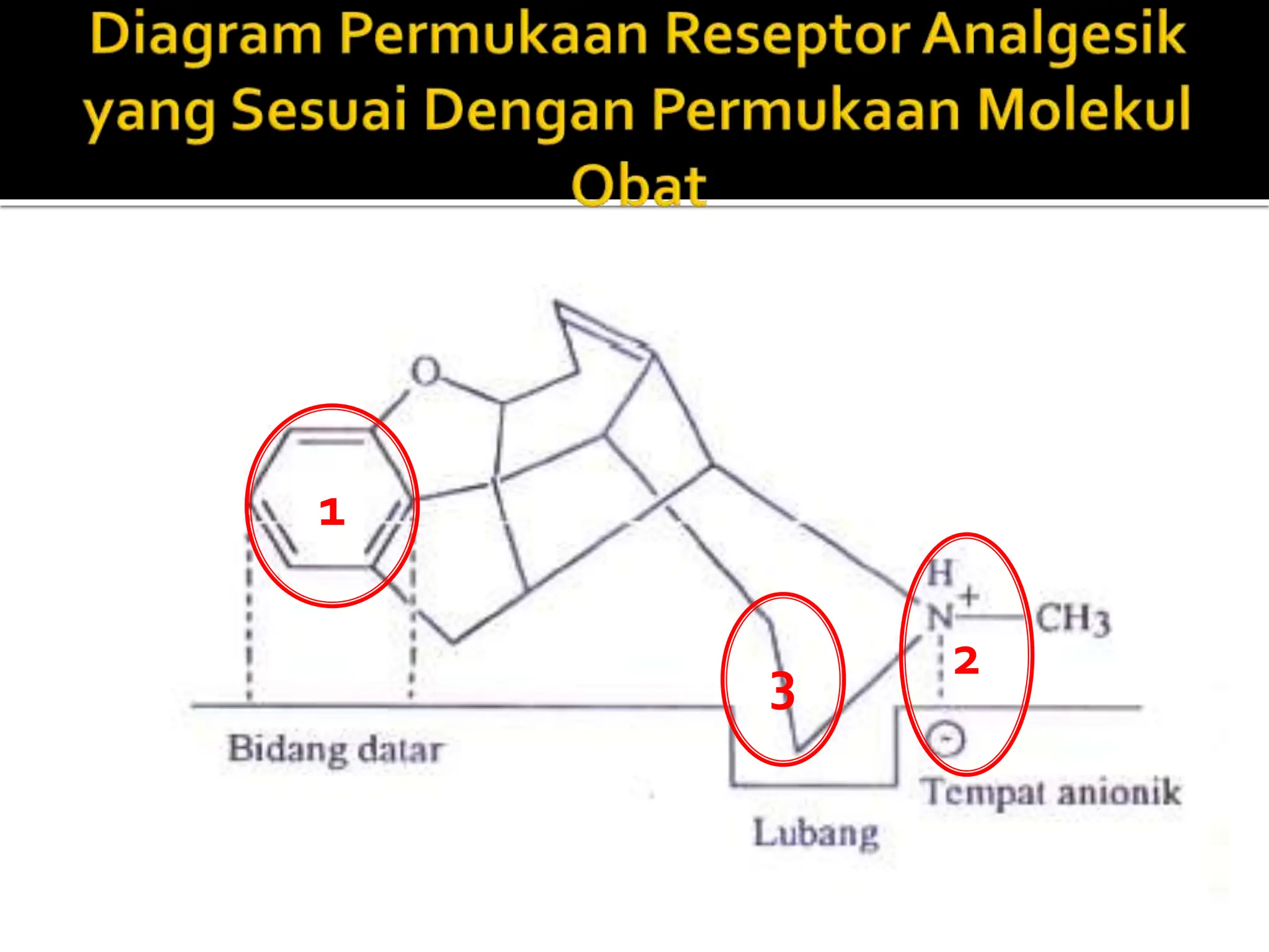 Hubungan struktur analgetik | PPT
