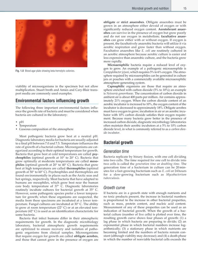 Textbook of diagnostic microbiology 7 ed. Edition Connie R. Mahon | PDF