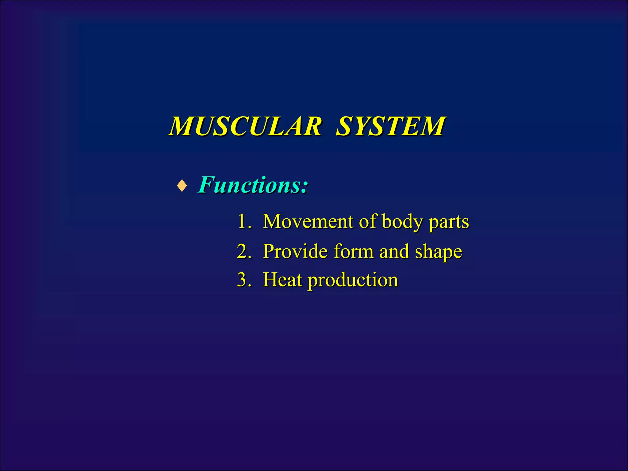 The Muscular System | PPT