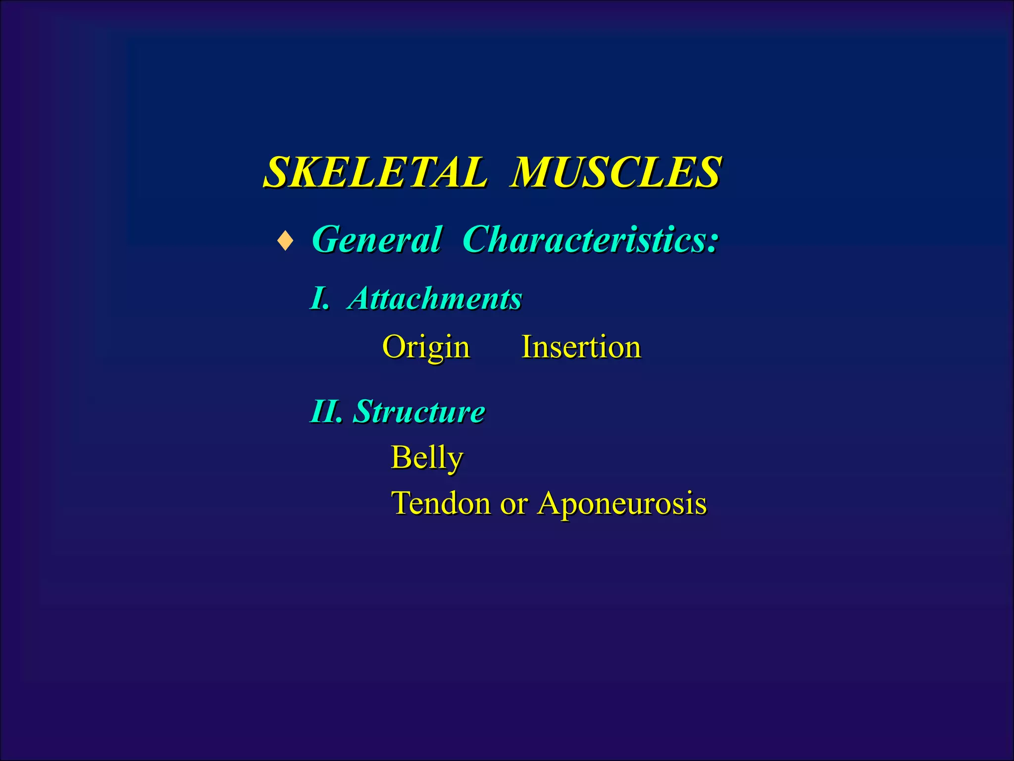 The Muscular System | PPT