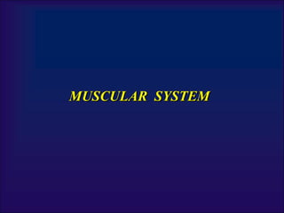 The Muscular System | PPT