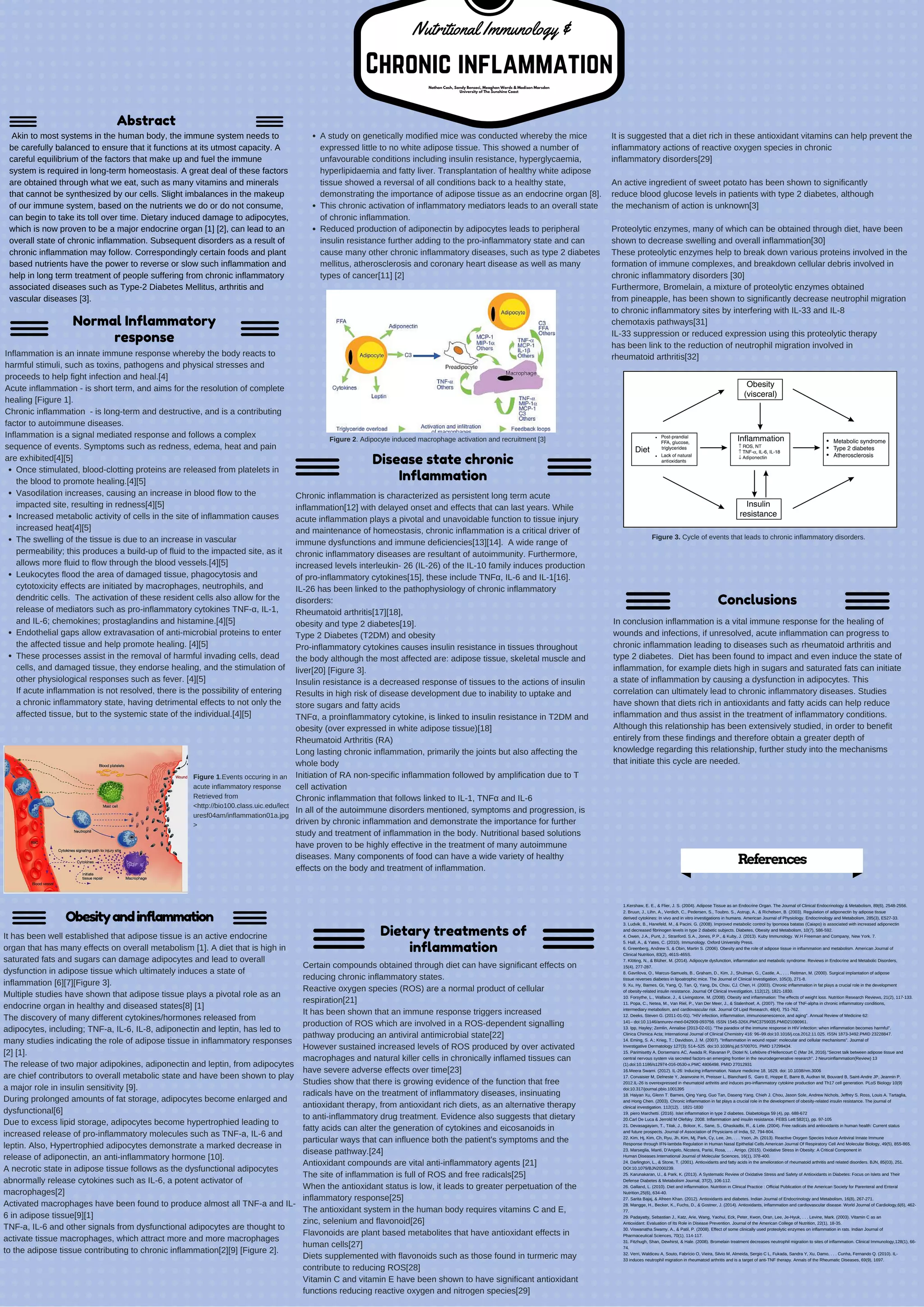 Nutritional immunology informational poster | PDF