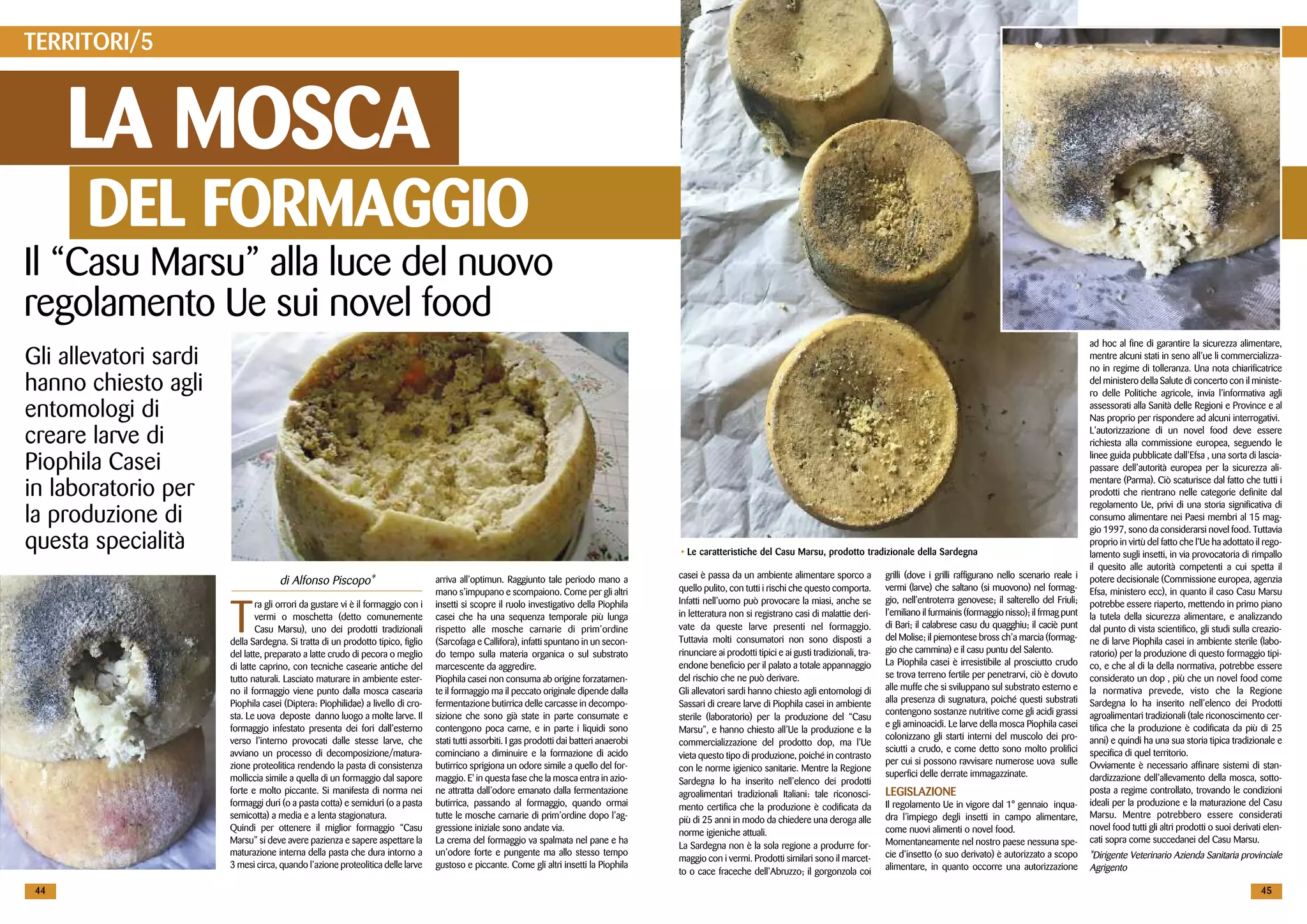 Casu Marsu Piscopo | PDF