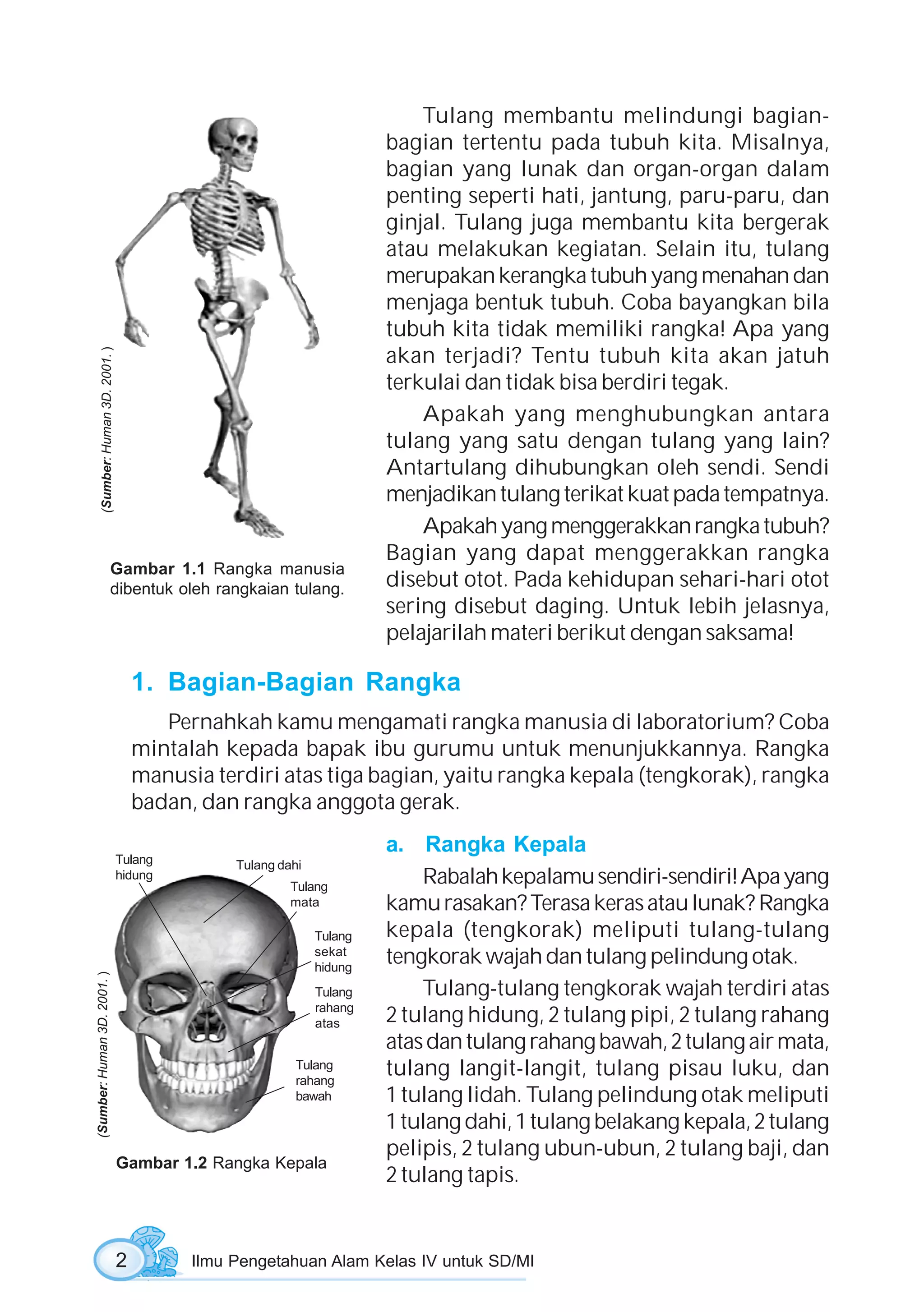SD-MI kelas04 ipa budi setyo | PDF