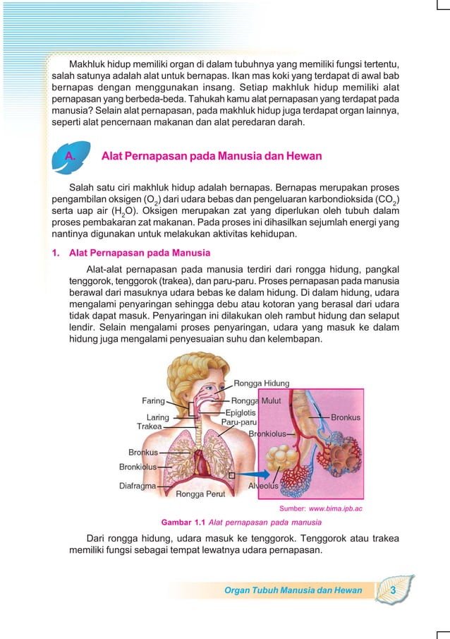 SD-MI kelas05 ipa heri edy | PDF