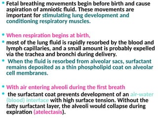 respirator embriology lecturs for student.pptx
