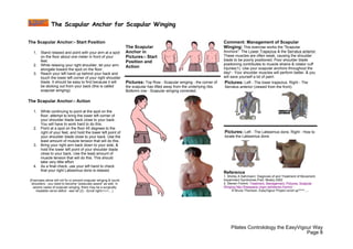 Abdominal Muscle Strain | PDF